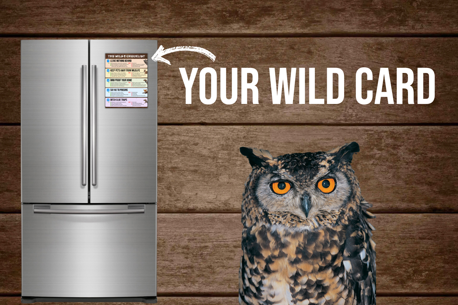 WILD RESCUE - Do The Wild 5!