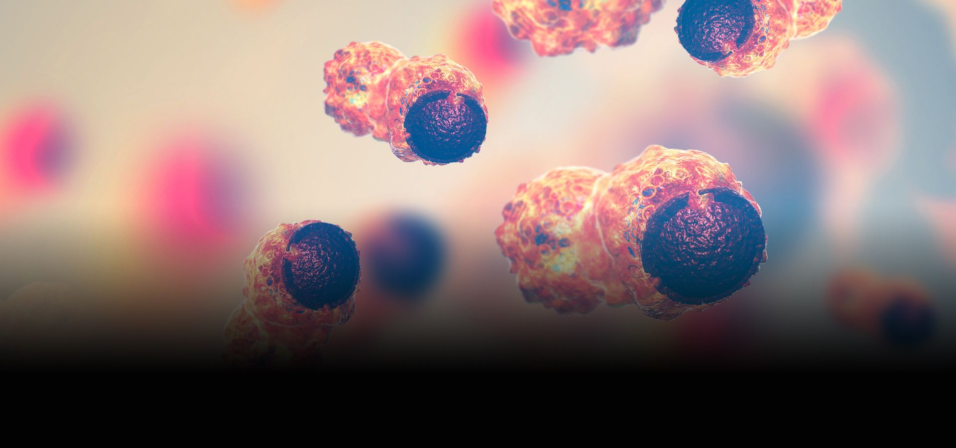 Cancer Immunotherapy | NKore BioTherapeutics | Pipeline