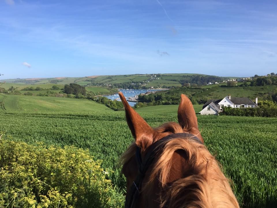 Ilton Farm Campsite - Caravan and Camping in South Devon