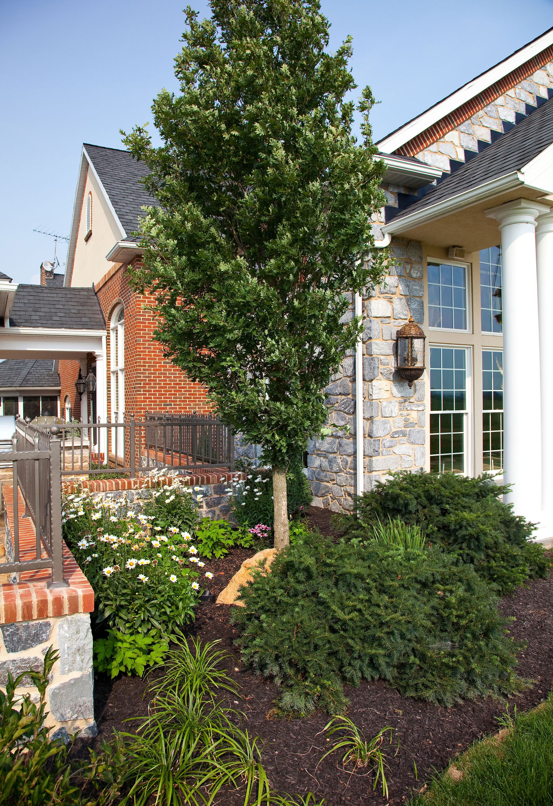 Gallery | Earth, Turf, & Wood | lancaster, pa