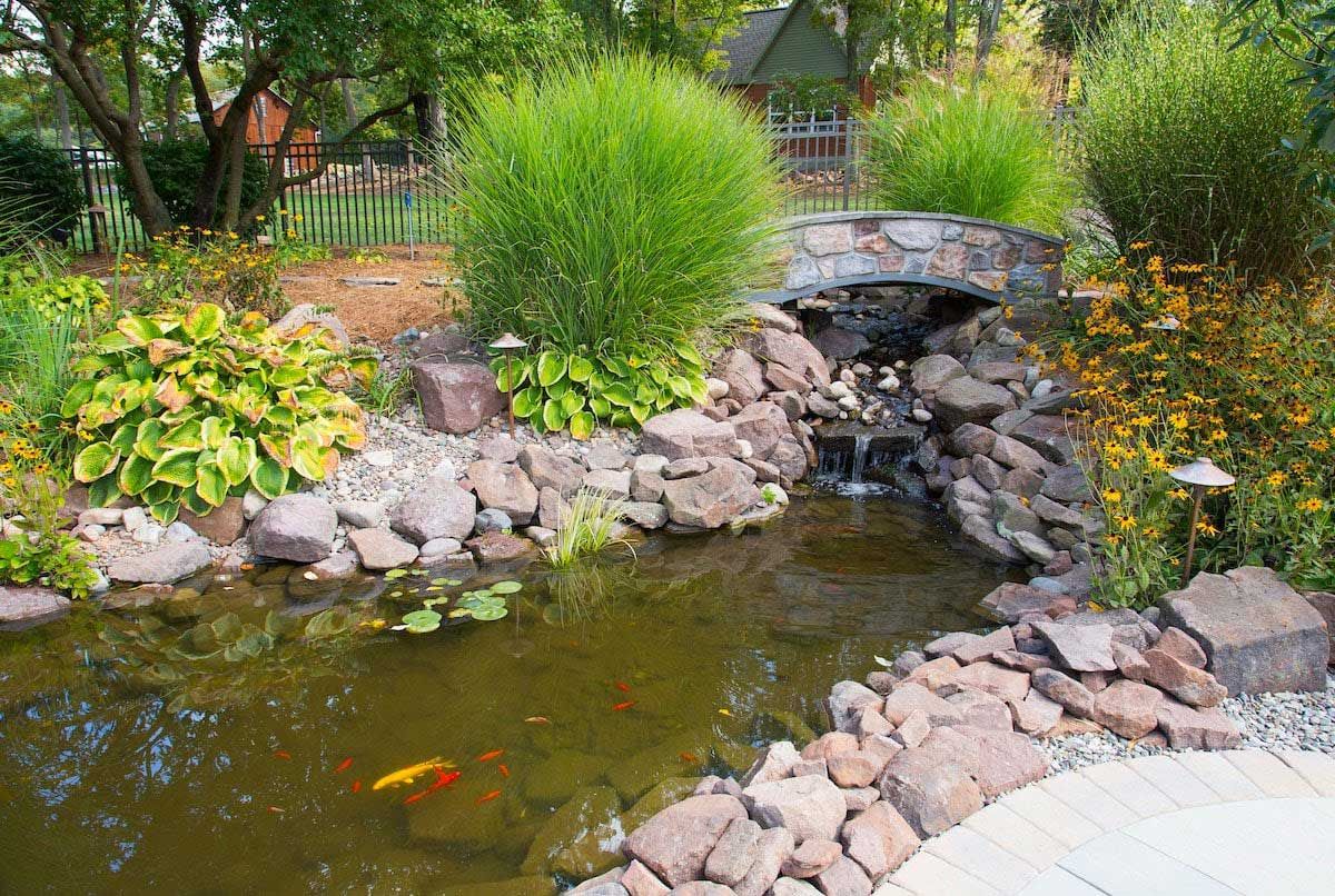 Fish Pond vs. Pondless Waterfall vs. Fountain: Landscape Design Options ...