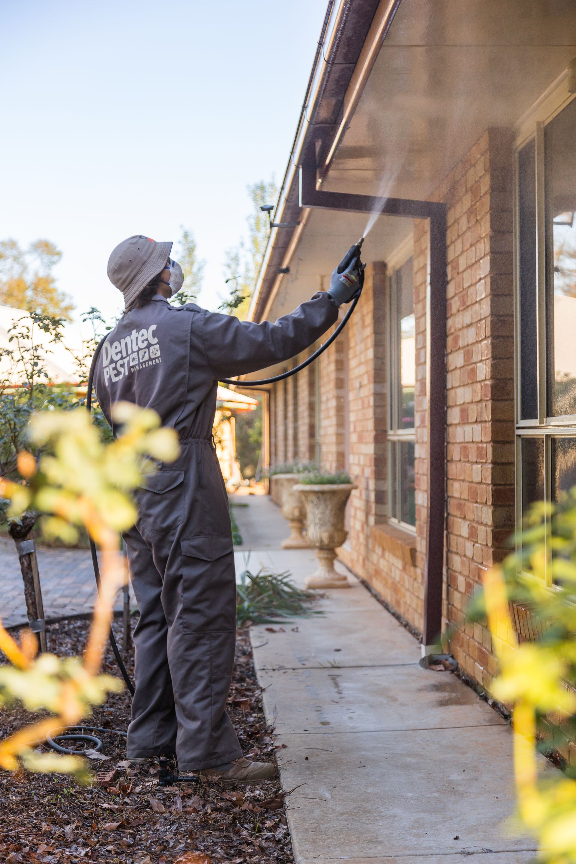 Pest Inspection Dubbo, NSW | Dentec Pest Management