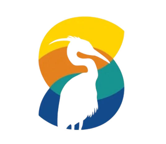 Transparent Insurance Solutions | Suncoast Insurance