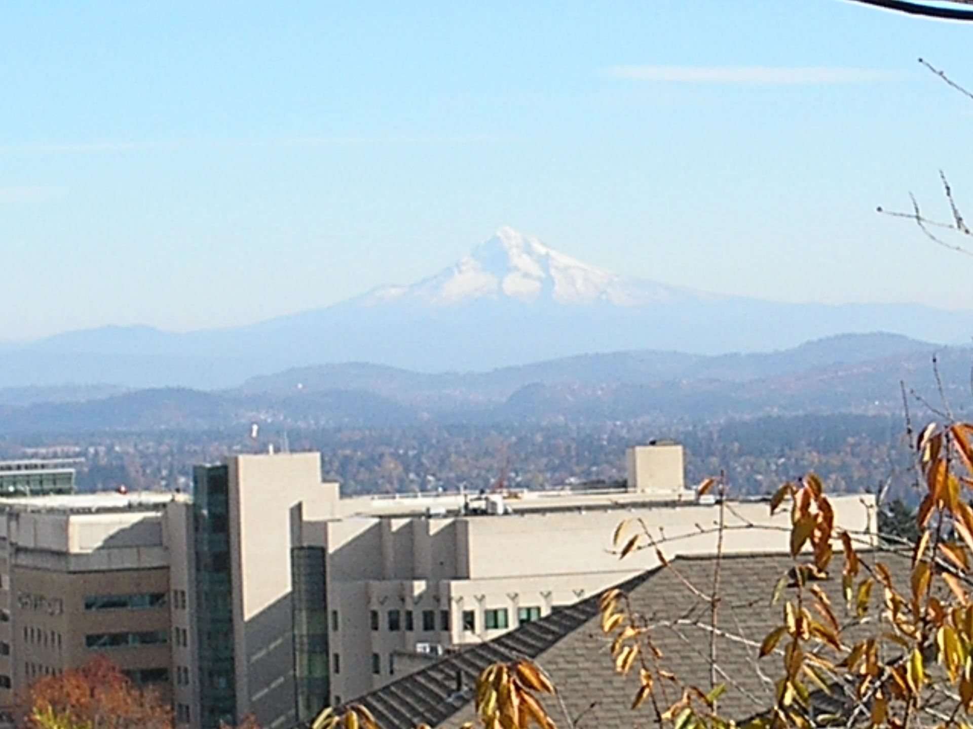 Summit Real Estate Management, LLC | Oregon