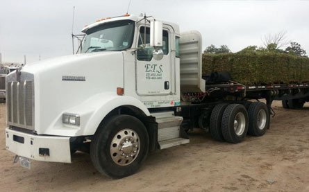 Houston Grass for Sale, Grass Installation | Call Us Today!