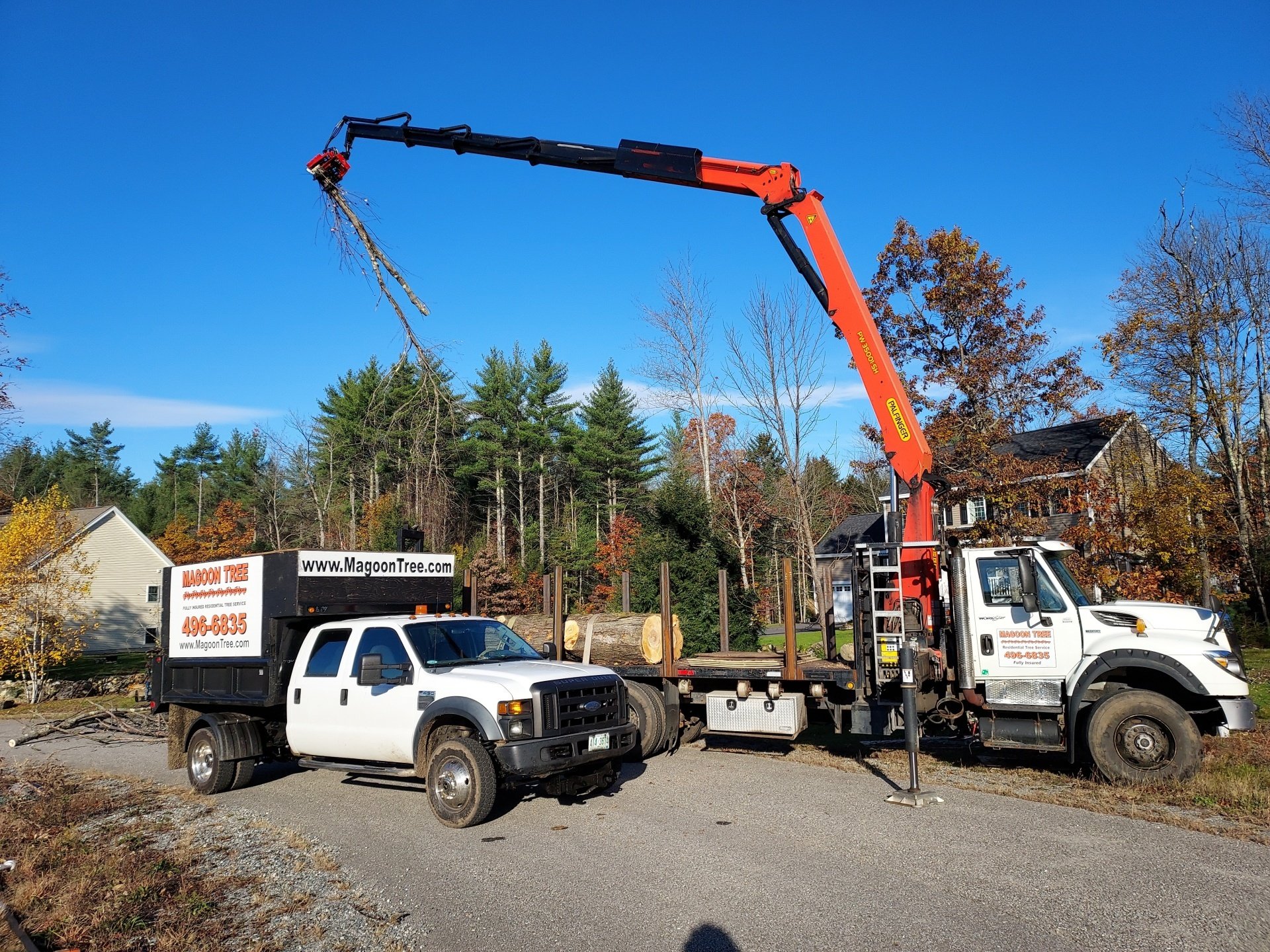 Magoon Tree Service - Canterbury, NH - Home