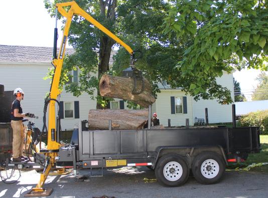 Magoon Tree Service - Canterbury, NH - About Us