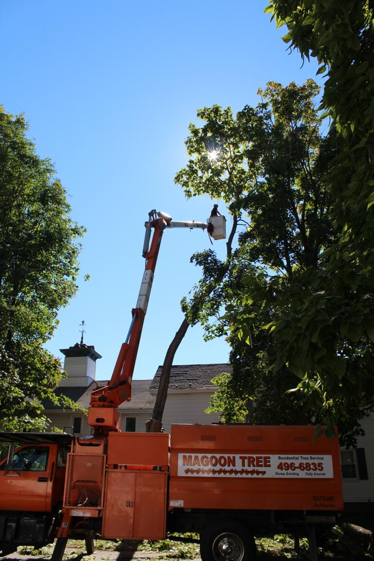 Magoon Tree Service - Canterbury, NH - Photos