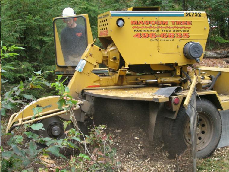 Magoon Tree Service - Canterbury, NH - Photos