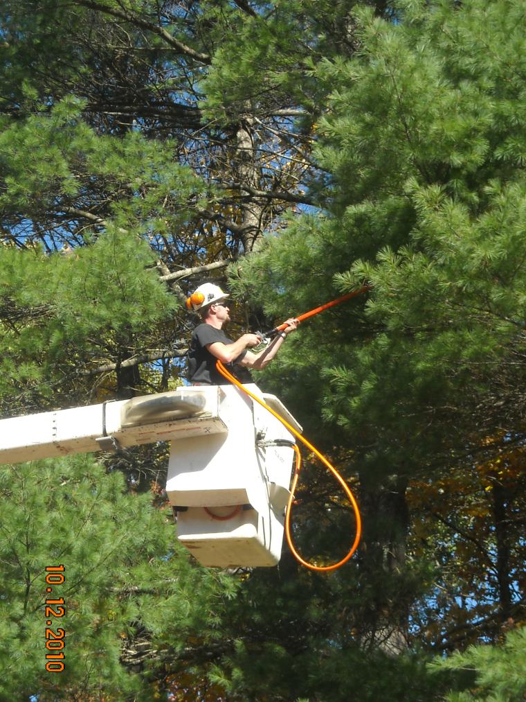 Magoon Tree Service - Canterbury, NH - Photos