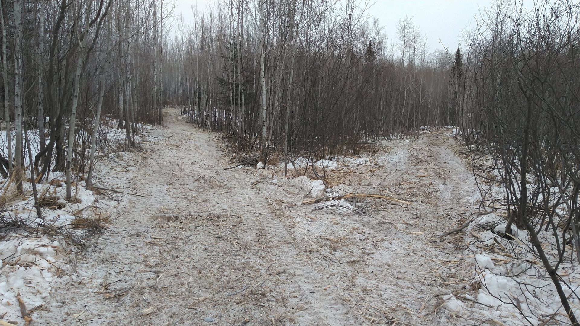 Trail Cutting Services | Hanson Land Works | Two Harbors, MN
