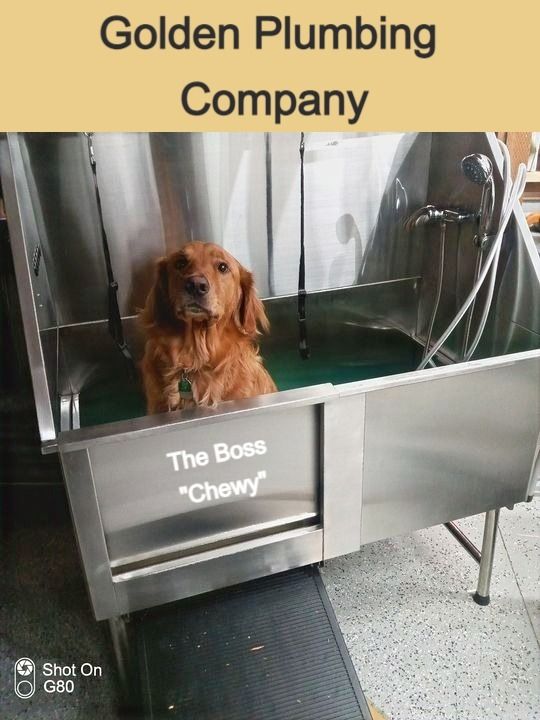 Plumbing | Oak Harbor, WA | Golden Plumbing PLLC