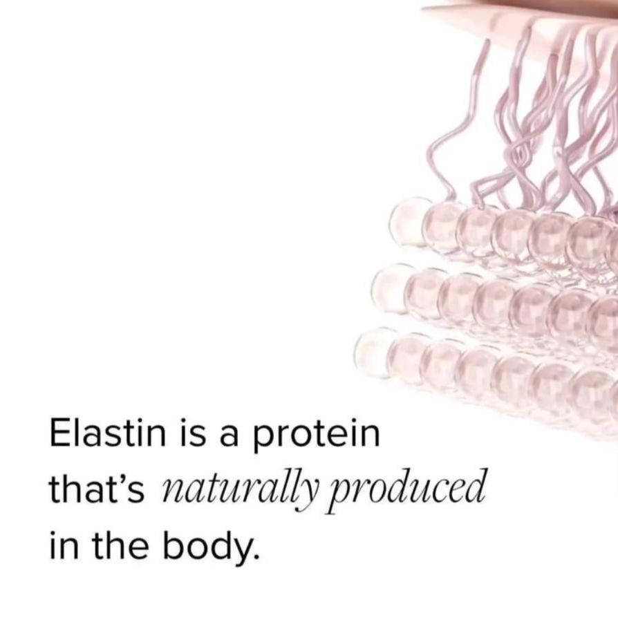 ELASTIN AND YOUR SKIN