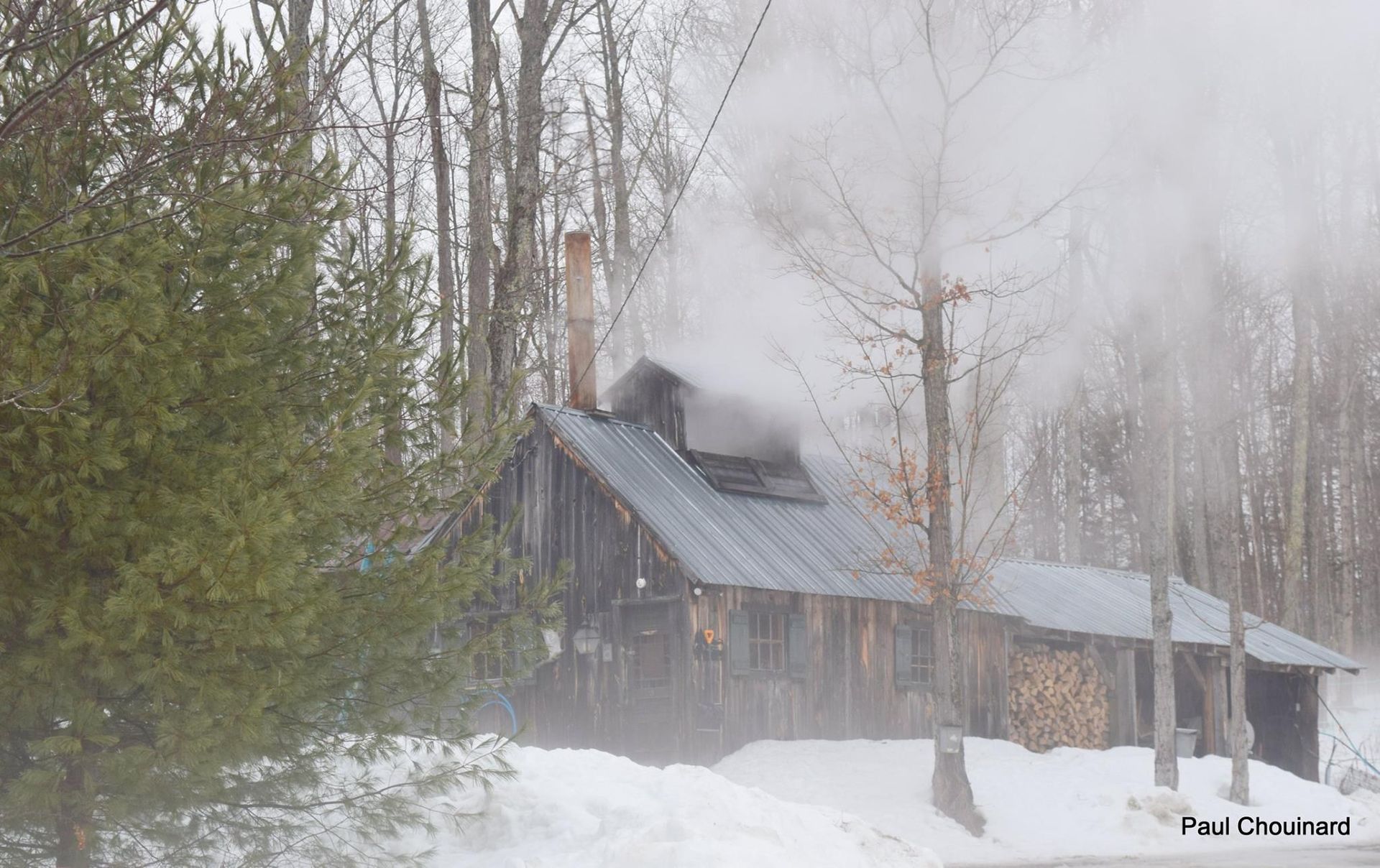 Welcome to the Town of Lunenburg, Vermont