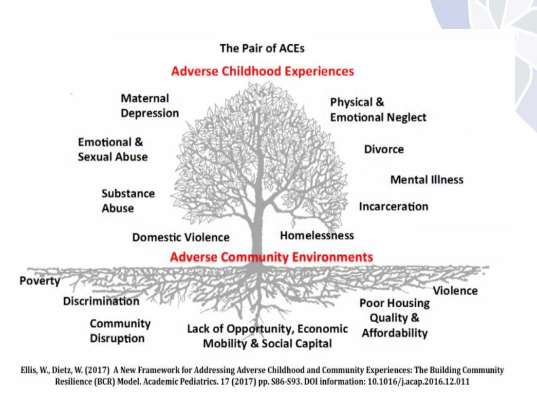 Why ACEs Matter In The Fight Against Human Trafficking