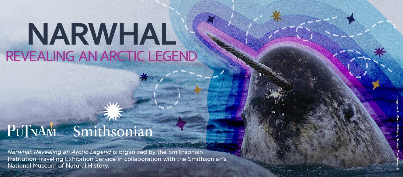 Now Playing at the Putnam: Narwhals: Revealing an Arctic Legend | Quad ...