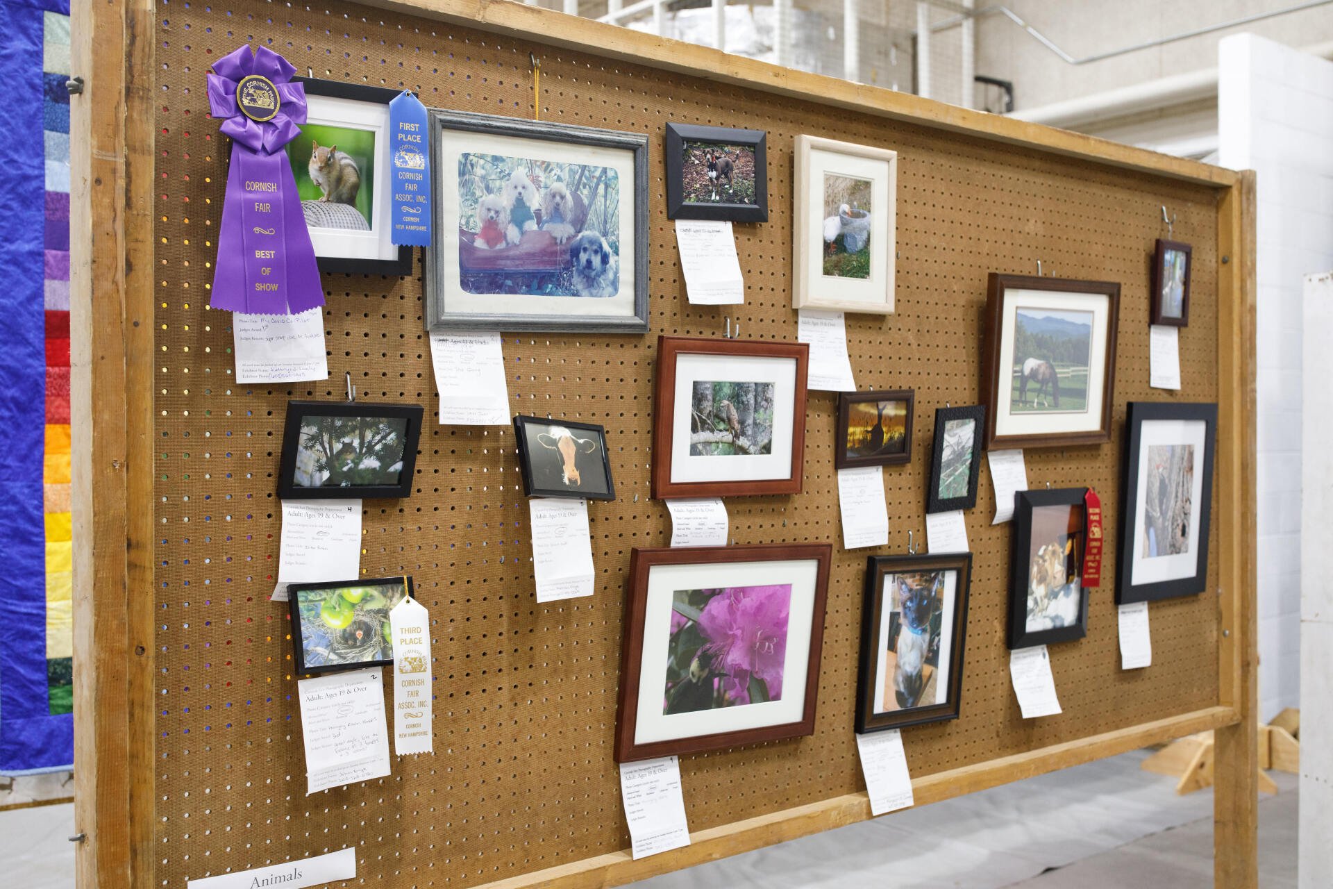 Cornish Fair Exhibits | Fairgrounds in NH