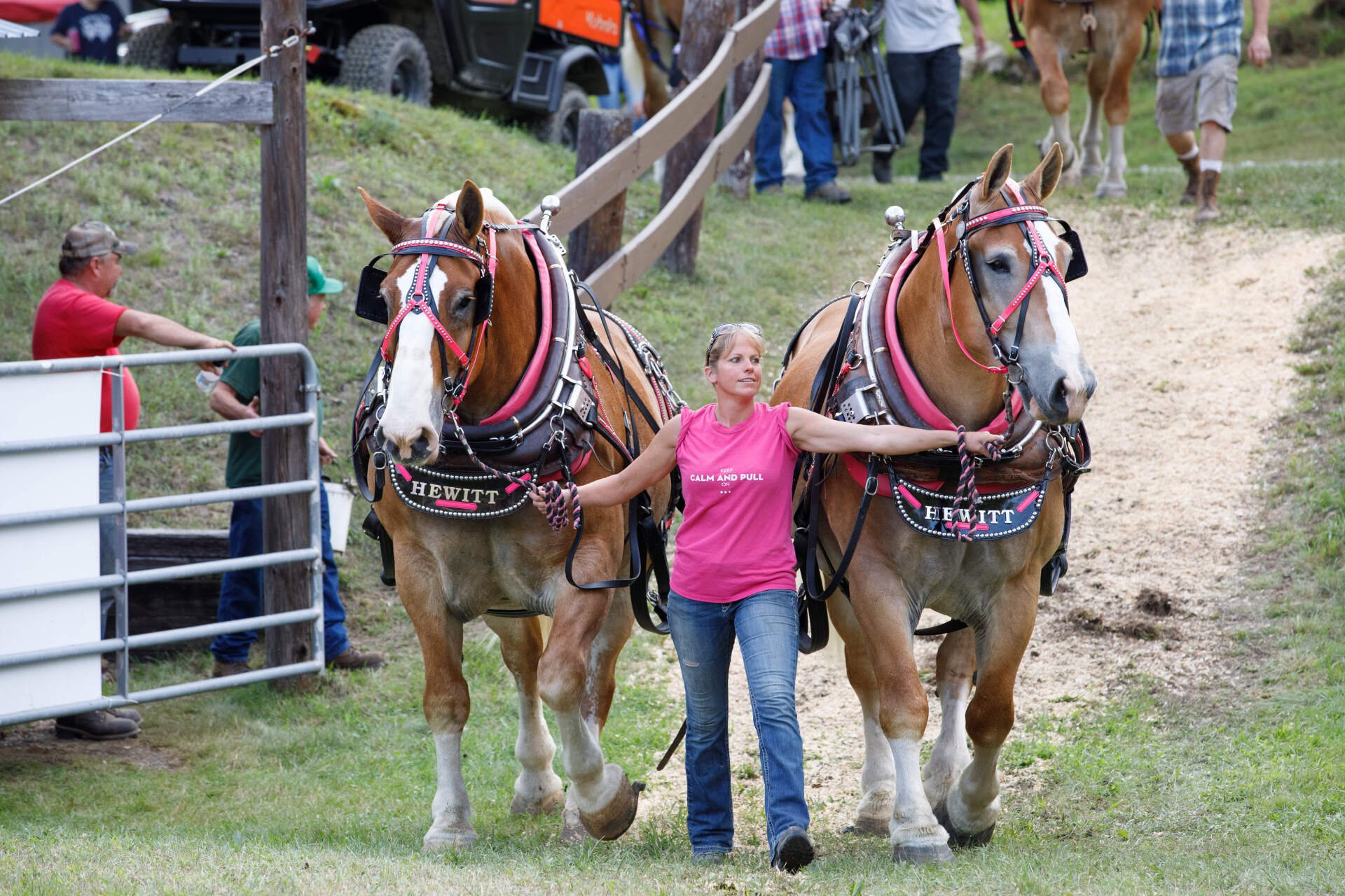 Photo Gallery of the Cornish Fair