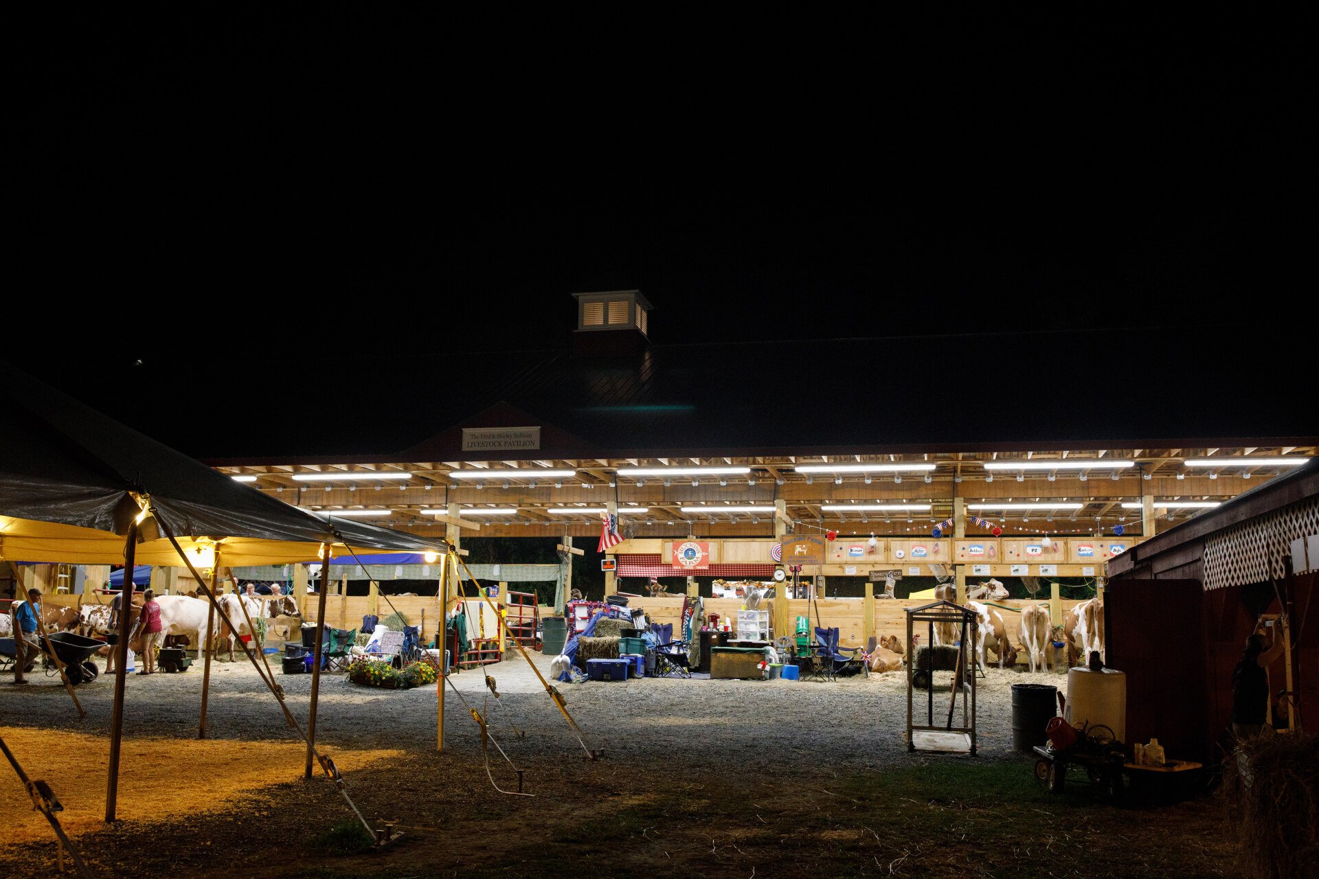 Photo Gallery of the Cornish Fair