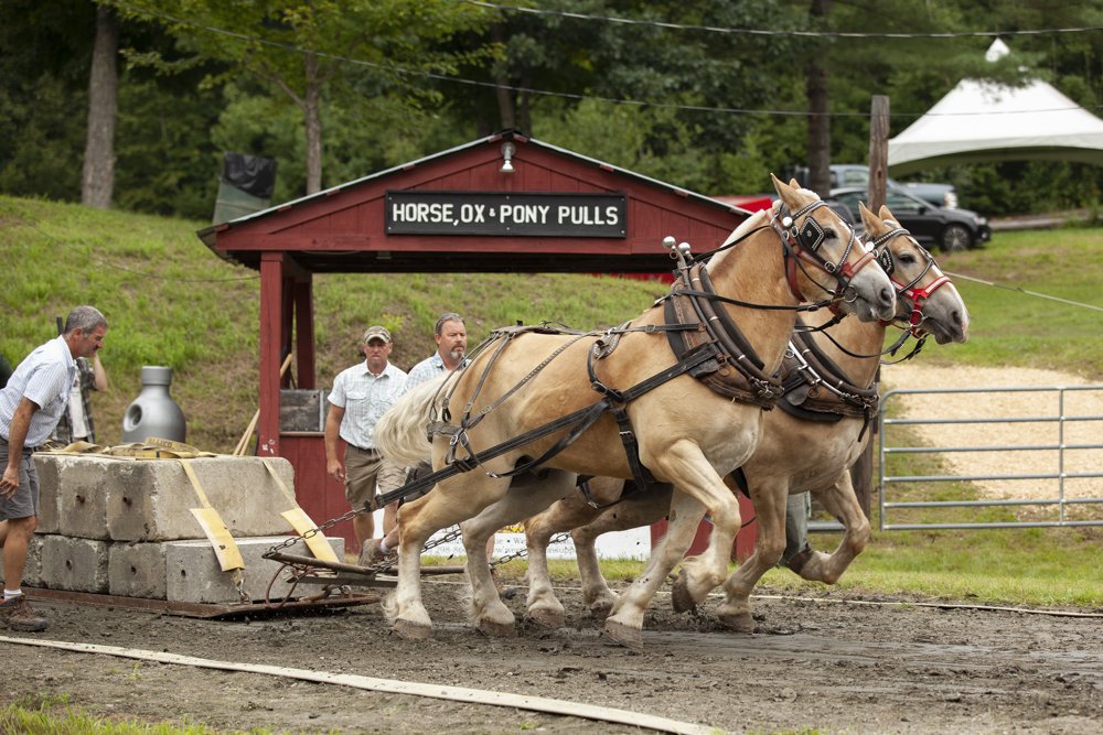 Photo Gallery of the Cornish Fair