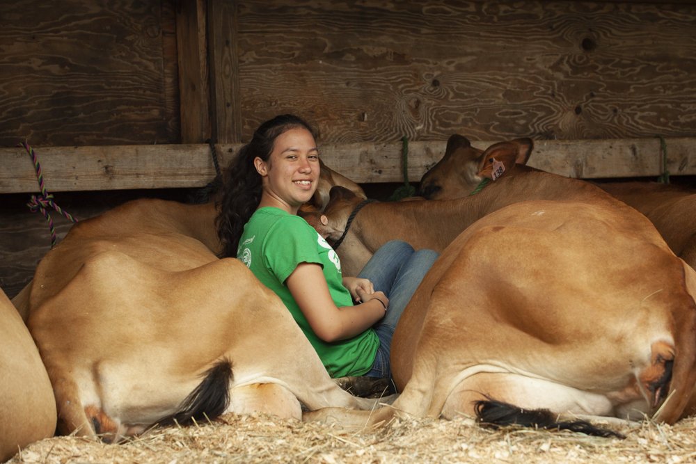 Photo Gallery of the Cornish Fair