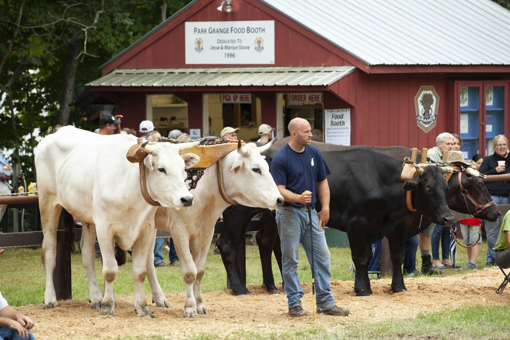Photo Gallery of the Cornish Fair