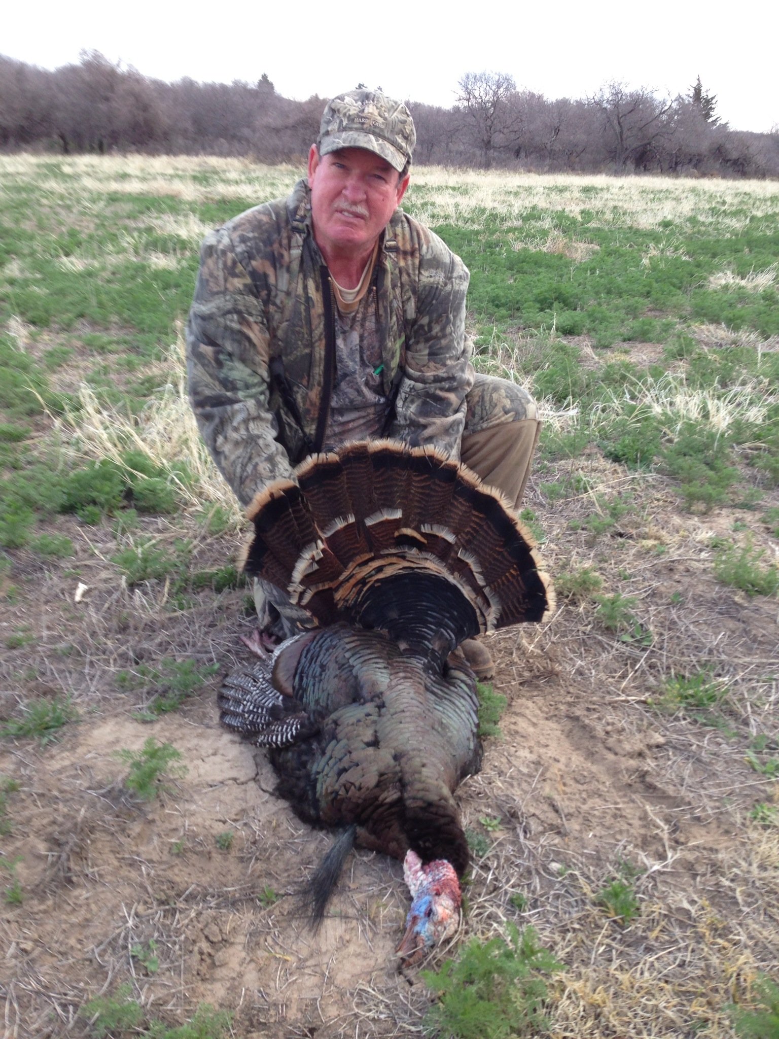 Oklahoma Turkey Hunting guide, Oklahoma Turkey Hunting Outfitter