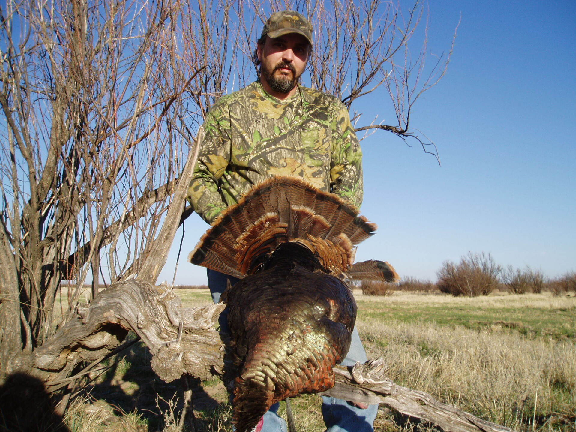 Oklahoma Turkey Hunting guide, Oklahoma Turkey Hunting Outfitter
