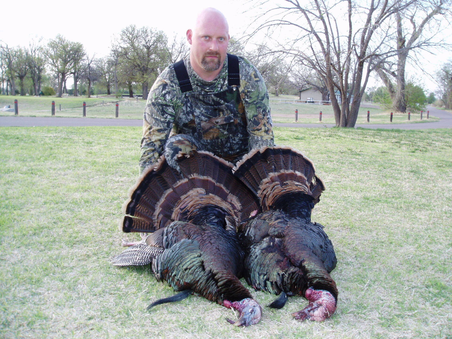 Oklahoma Turkey Hunting guide, Oklahoma Turkey Hunting Outfitter