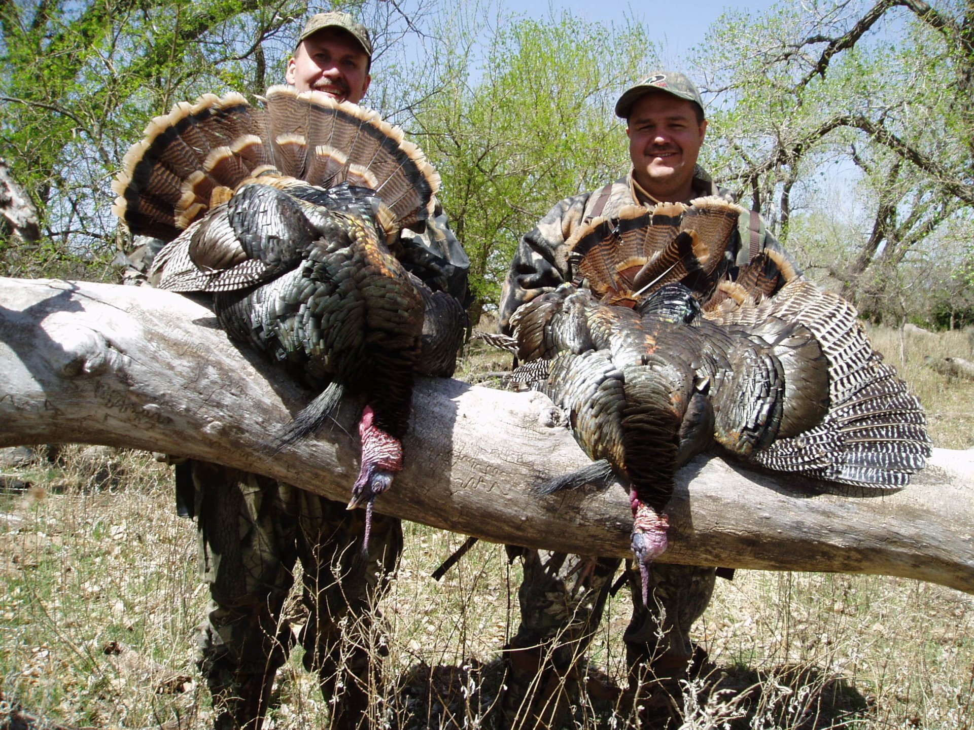 Oklahoma Turkey Hunting guide, Oklahoma Turkey Hunting Outfitter