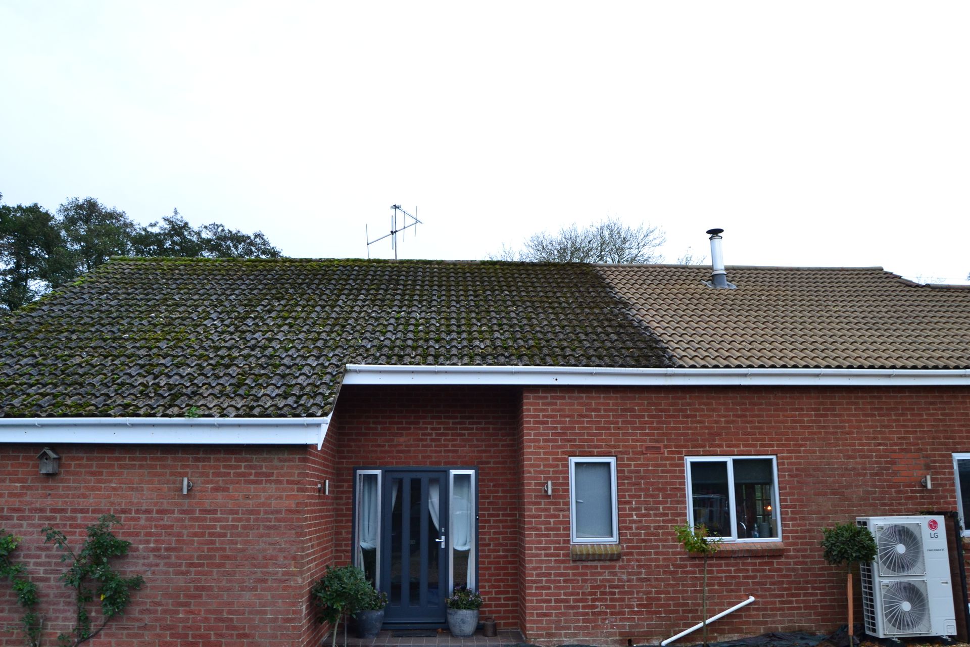 What You Need to Know About Biocide for Roof Cleaning