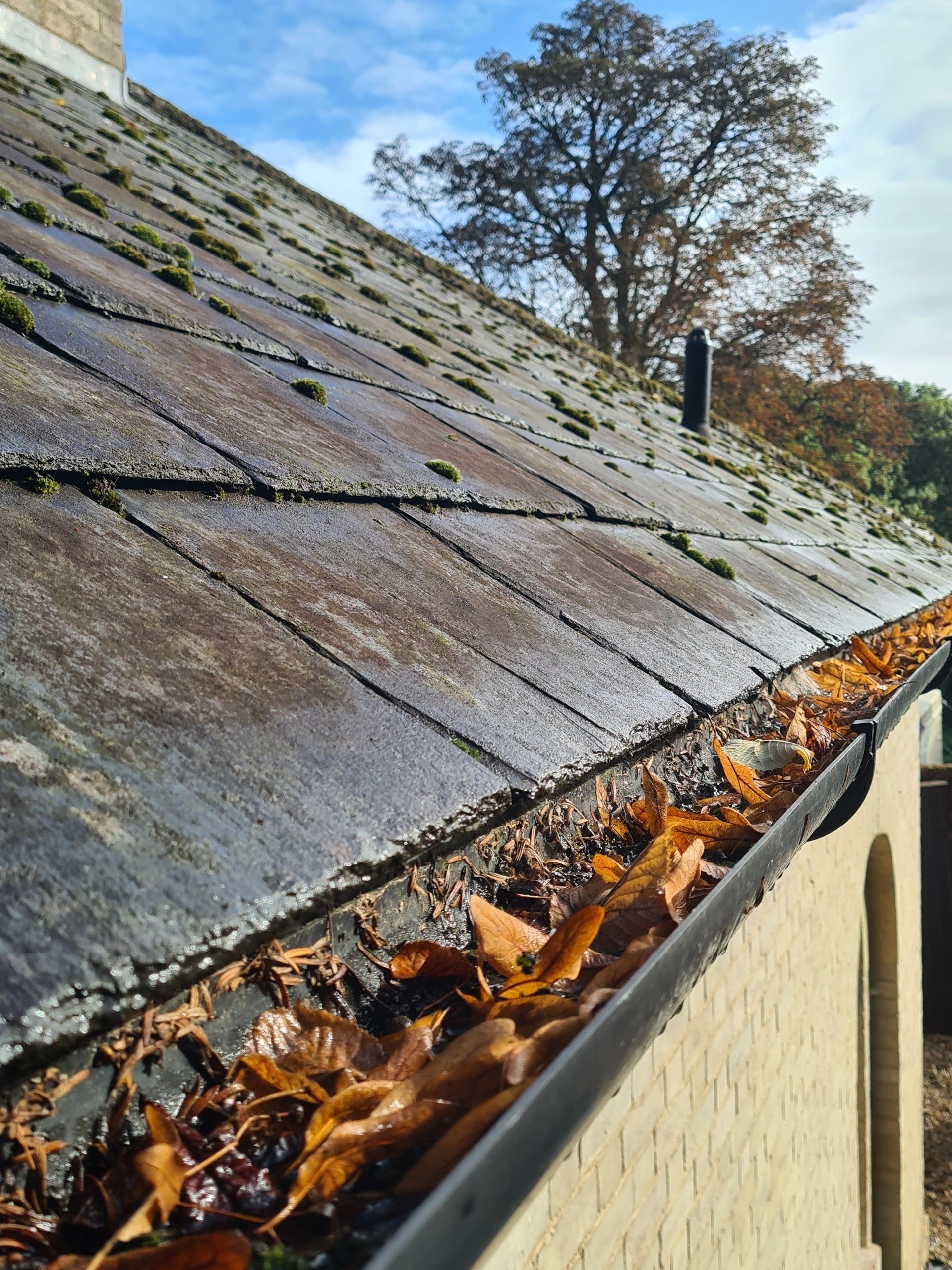 How to Safely Clean Your Gutters: A Comprehensive Guide