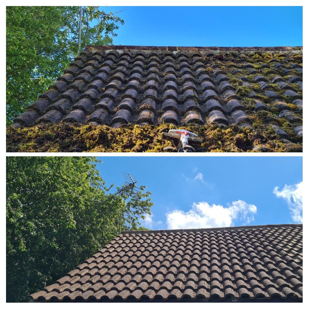 What You Need to Know About Biocide for Roof Cleaning