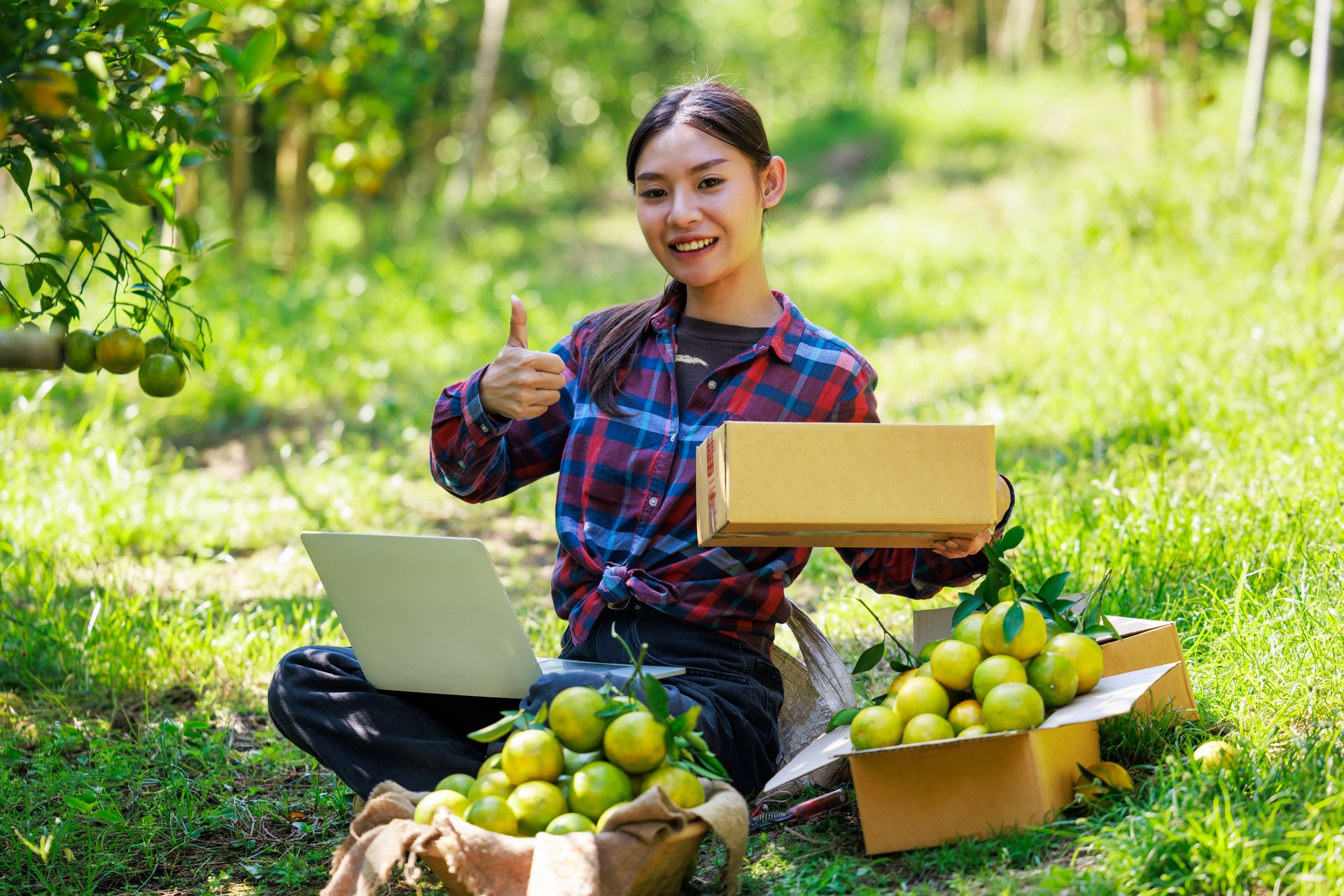 Fruit Packing and Cooling Central California