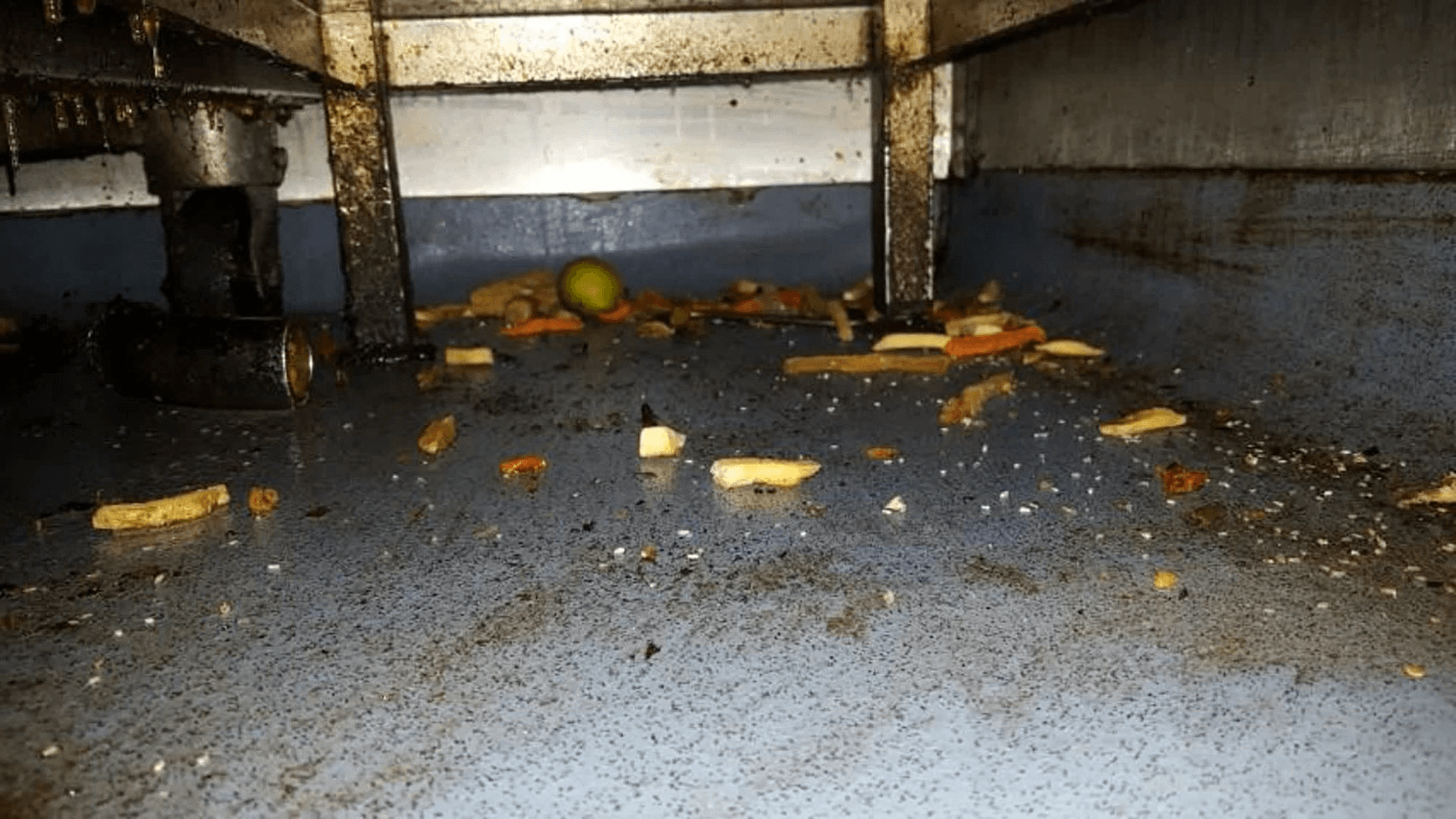 How to get a Five Rating from EHO