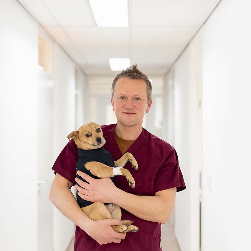 Een dierenarts met een hart voor alle dieren