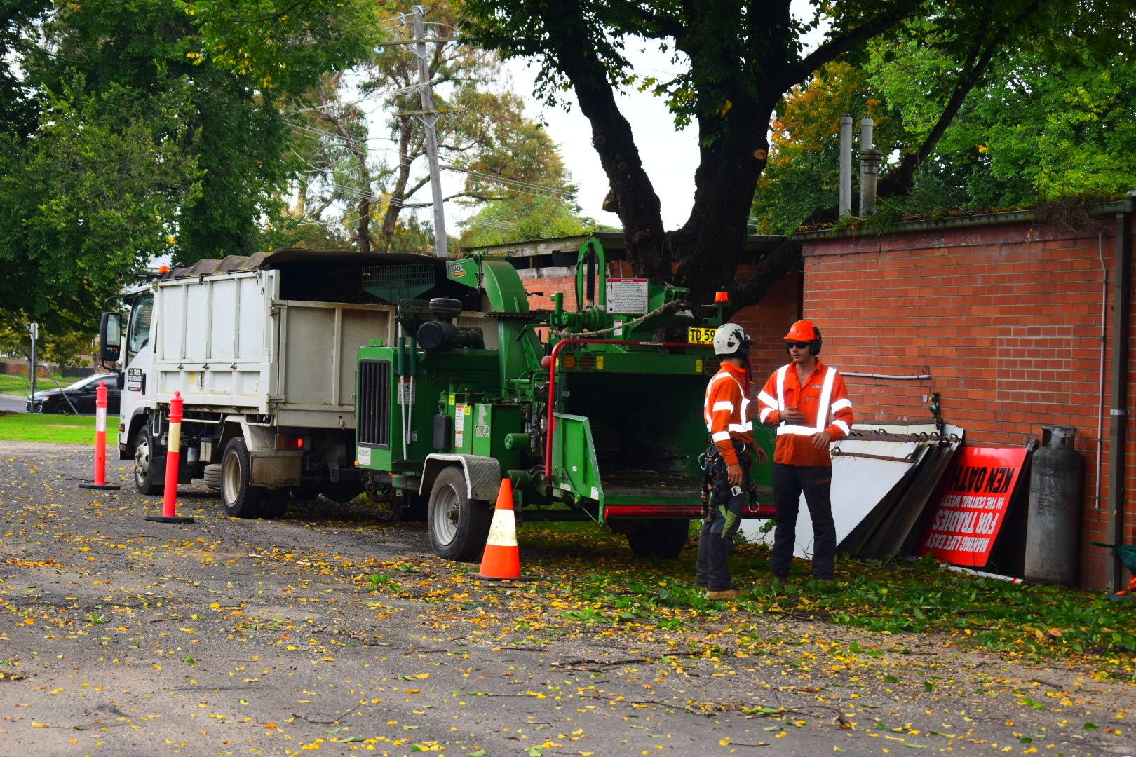 Photo Gallery | Central West NSW | OS Trees