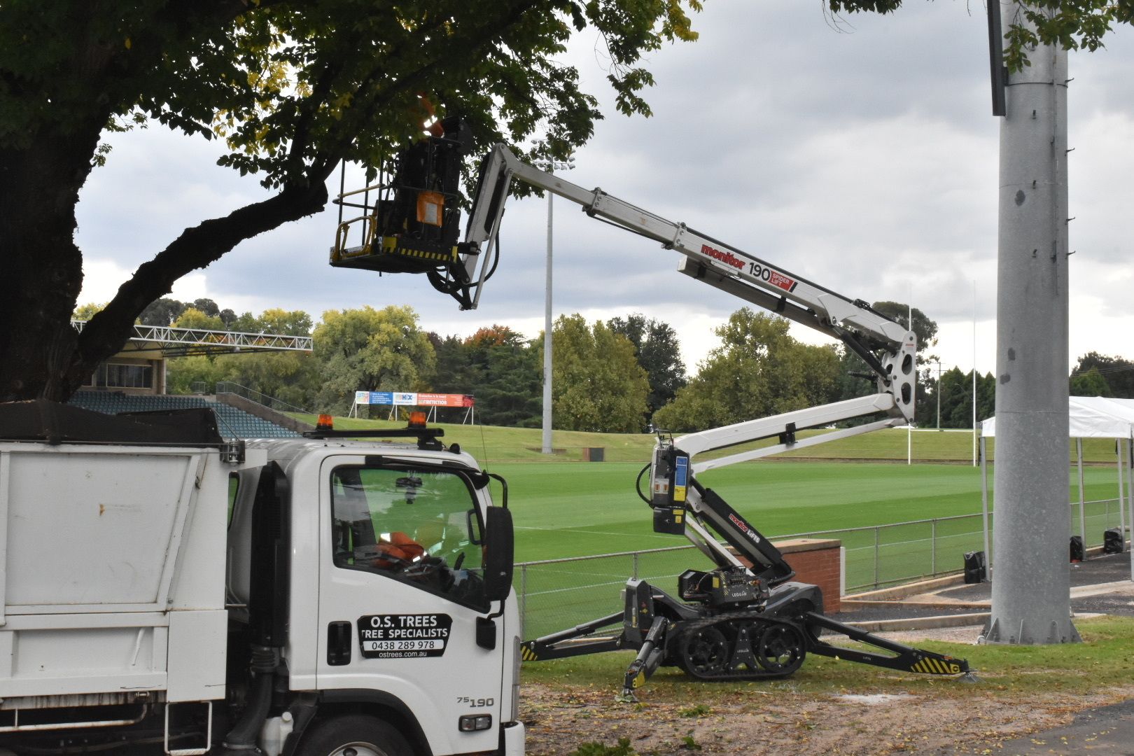 Commercial & Civil Services | Bathurst, NSW | OS Trees