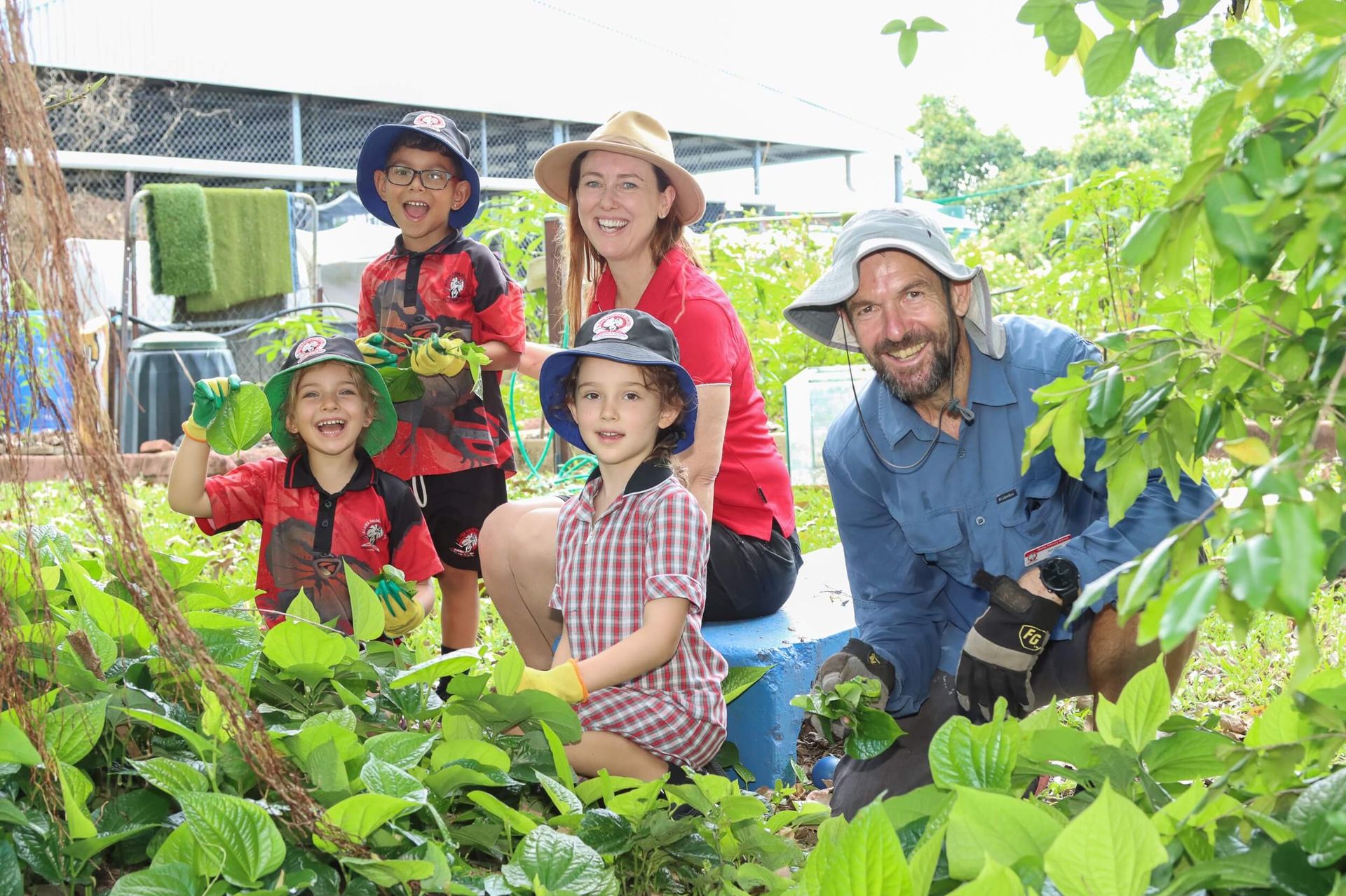 Kitchen Garden Program | Alawa Primary School