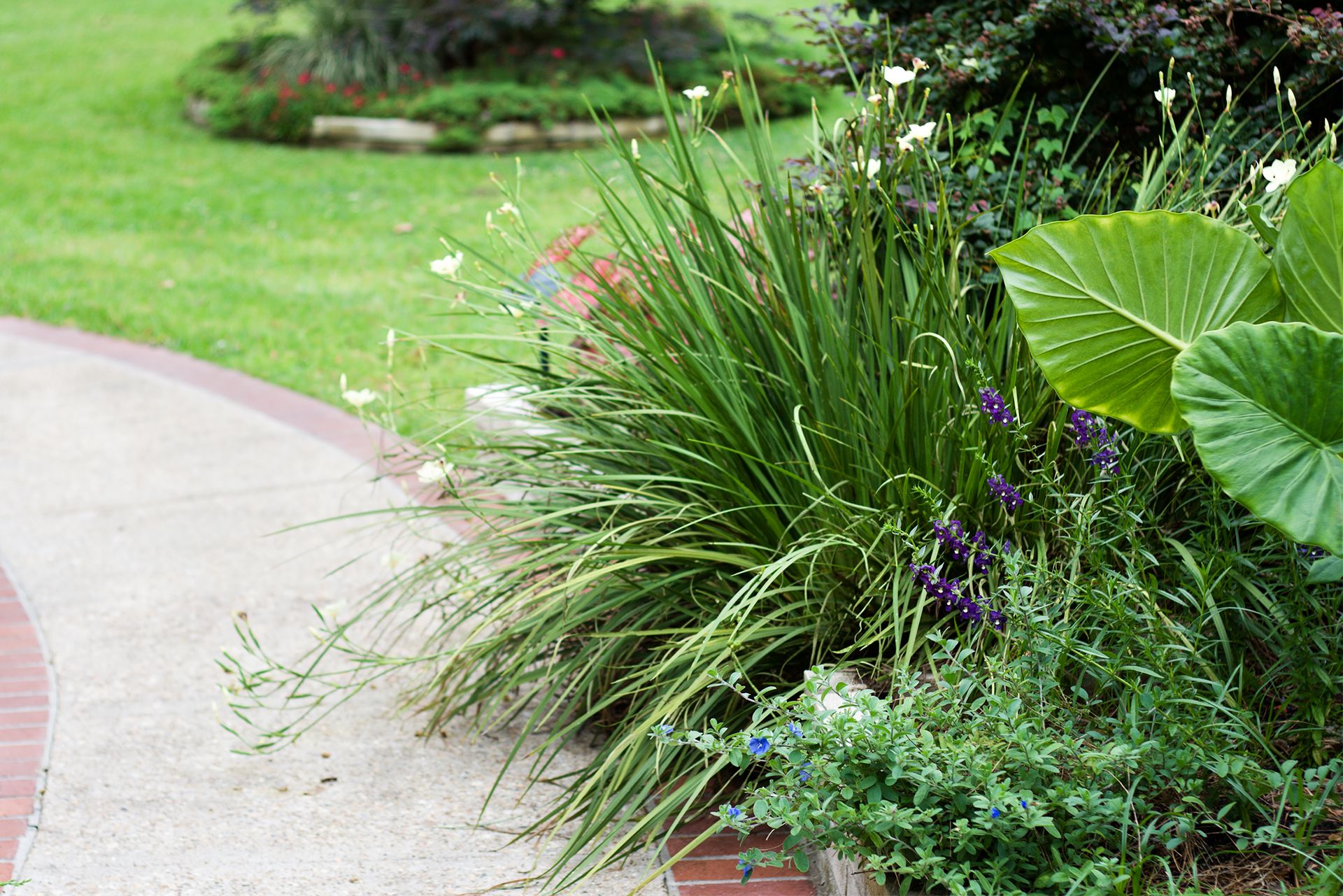 Sod Installation | Gravel Driveways in Plumas Lake & Yuba City, CA ...