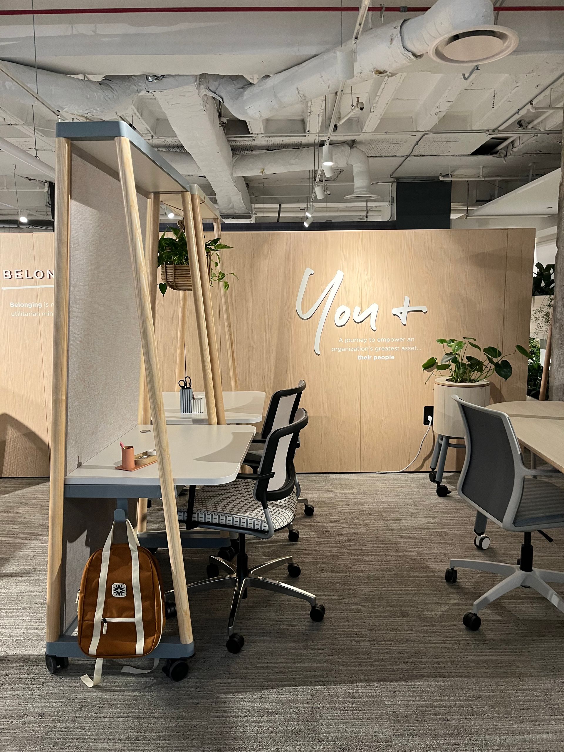 Neocon Chicago 2023 Lookbook