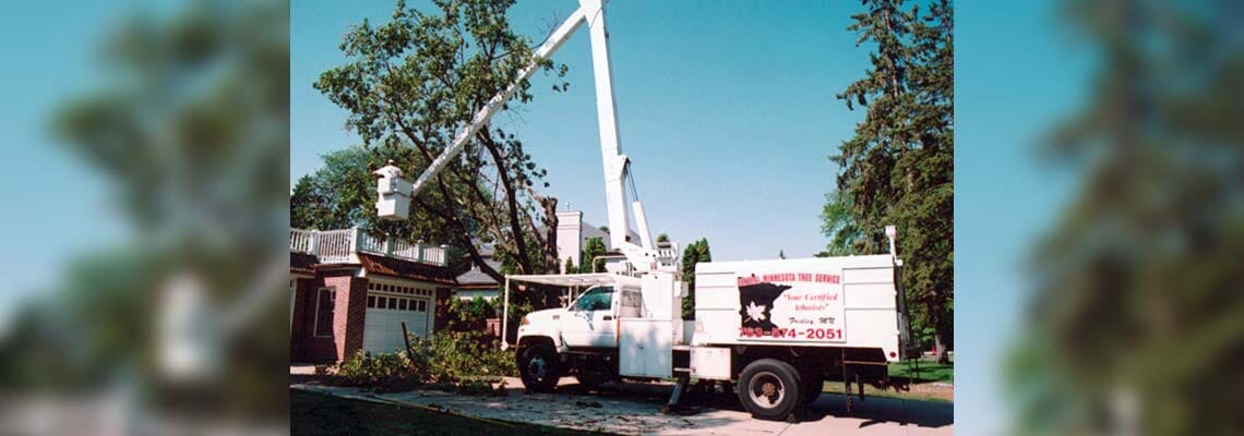 Tree Services- Minneapolis, MN - Central Minnesota Tree Service