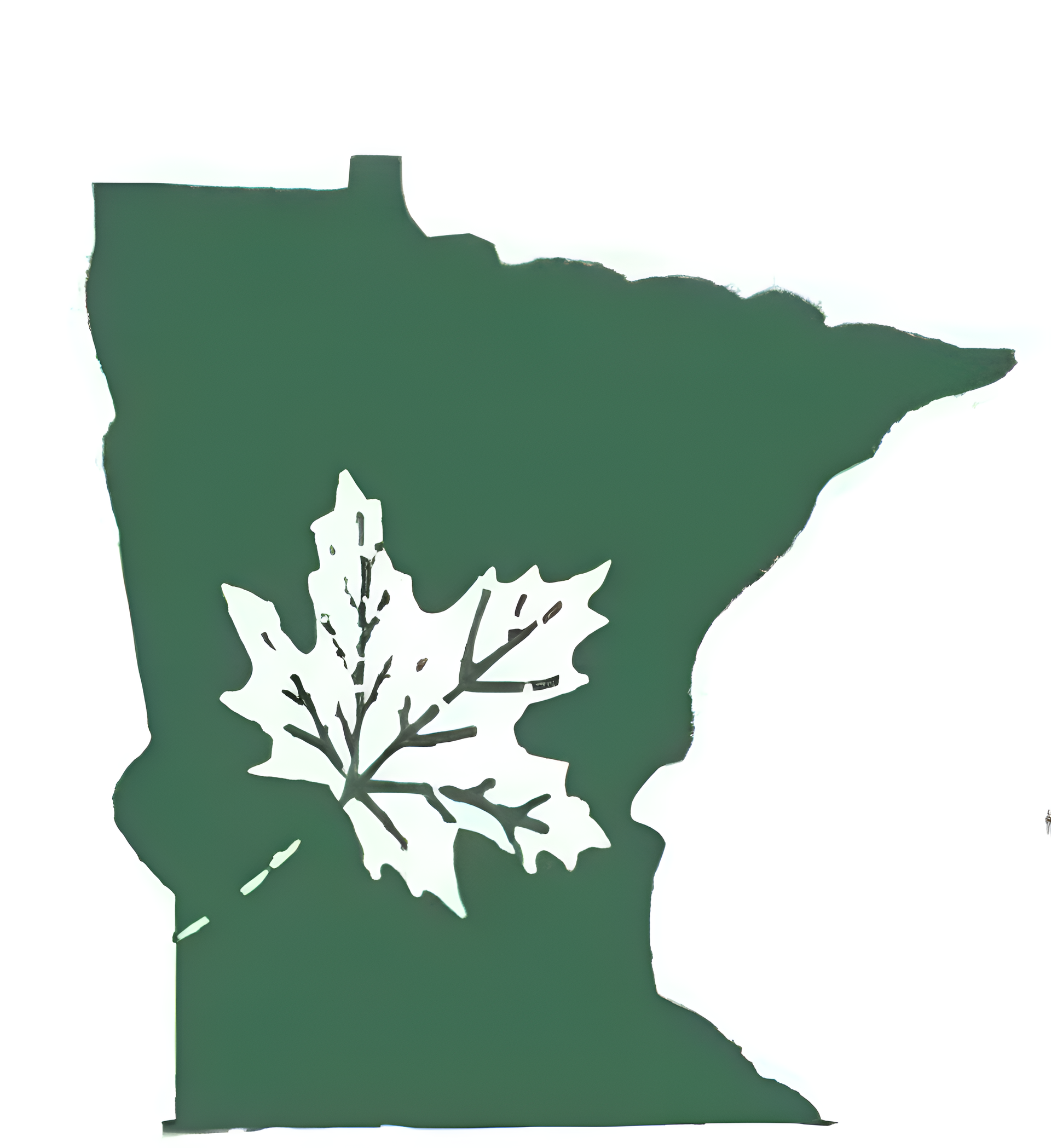 Tree services - Minneapolis, MN - Central Minnesota Tree Service