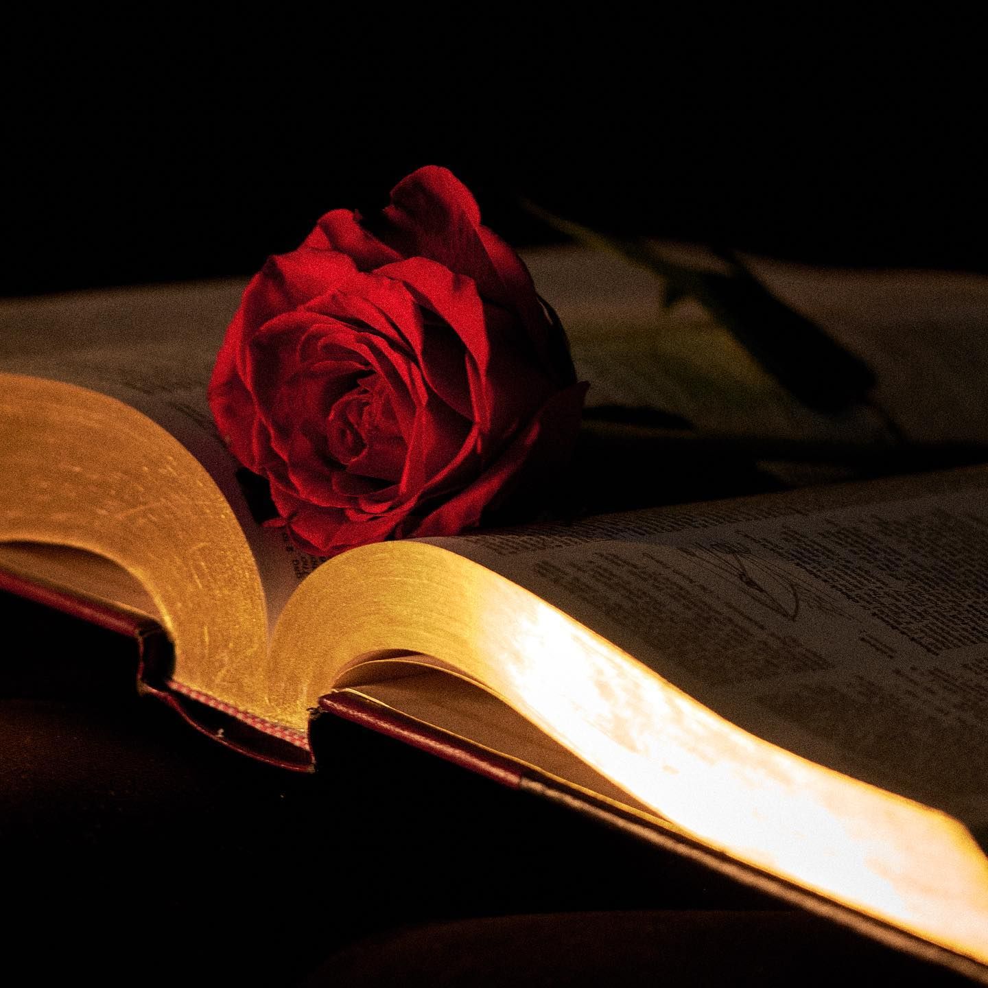 Juliet Cocktail Room, Las Vegas | Premier Destination for Cocktails