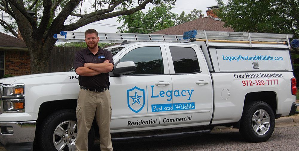 Pest Control Service | Irving, Texas | Legacy Pest and Wildlife