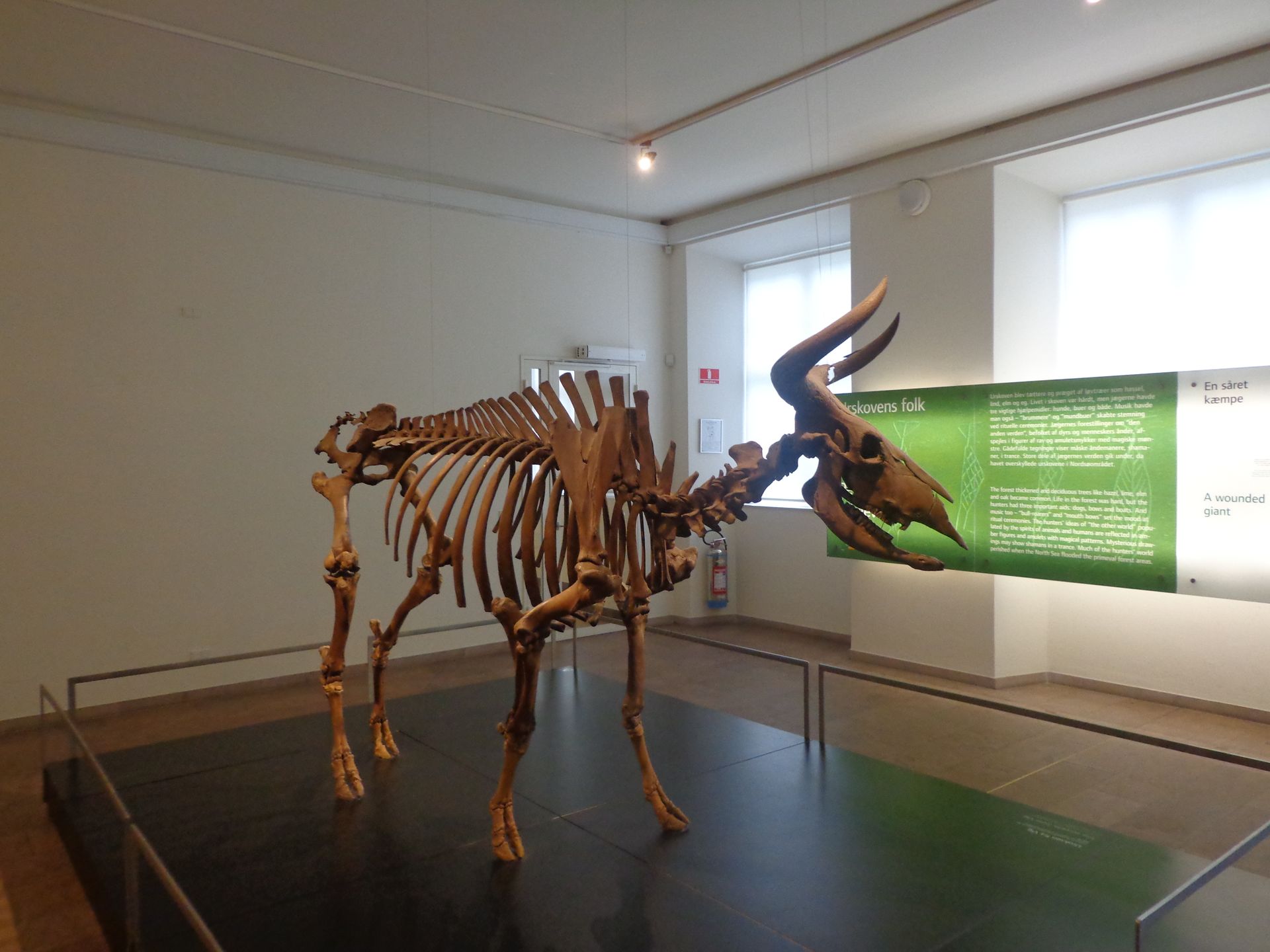 Britain's extinct giants