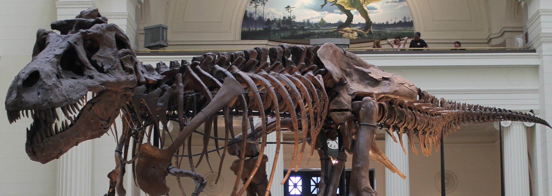 5 of the most amazing dinosaur fossils ever found