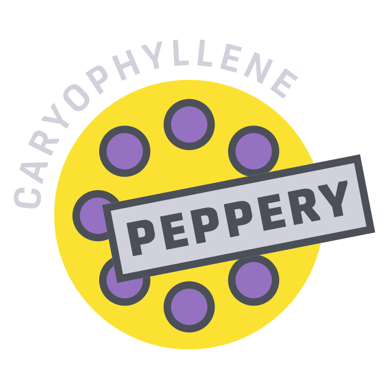 Cannabis Terpenes | Terpene Journey Dispensary