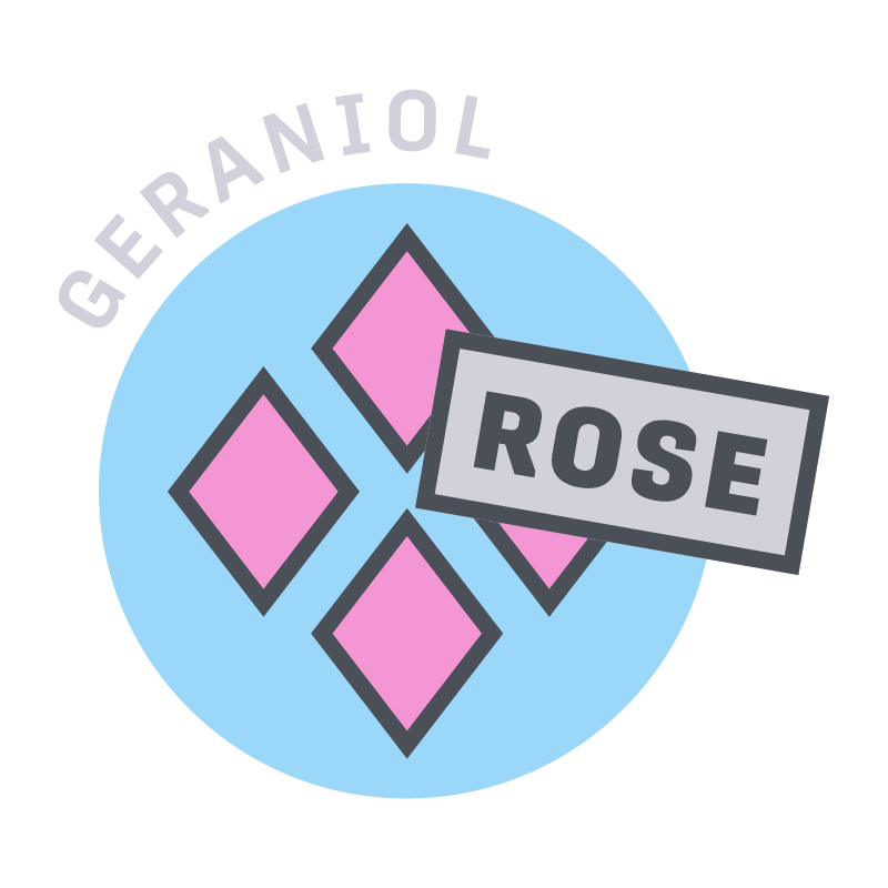 Cannabis Terpenes | Terpene Journey Dispensary