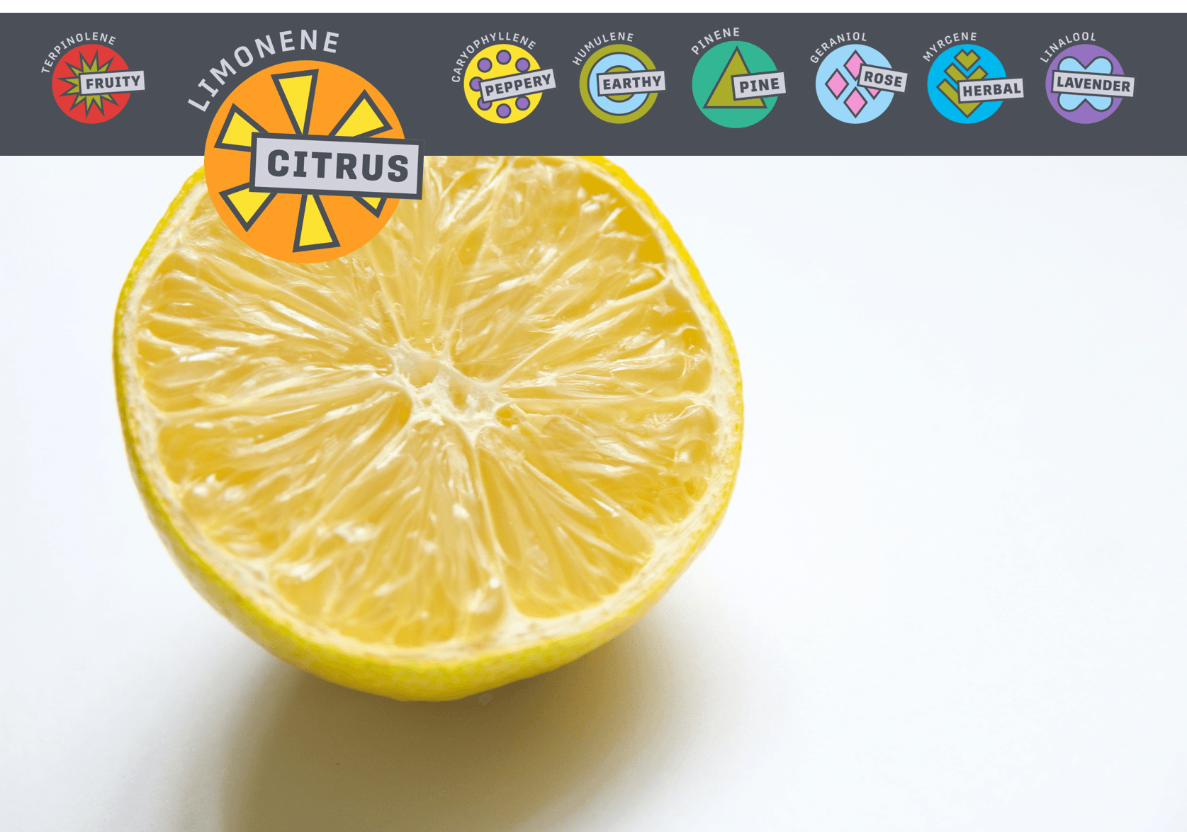 Cannabis Terpenes | Terpene Journey Dispensary